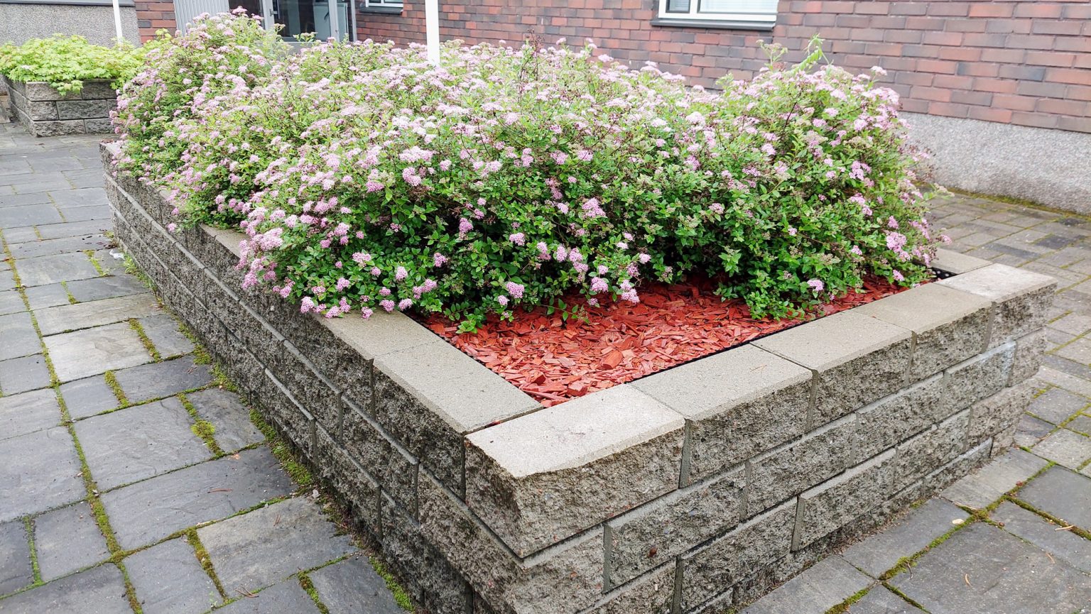 Tusina tapaa hyödyntää muurikiviä - Pihakivi